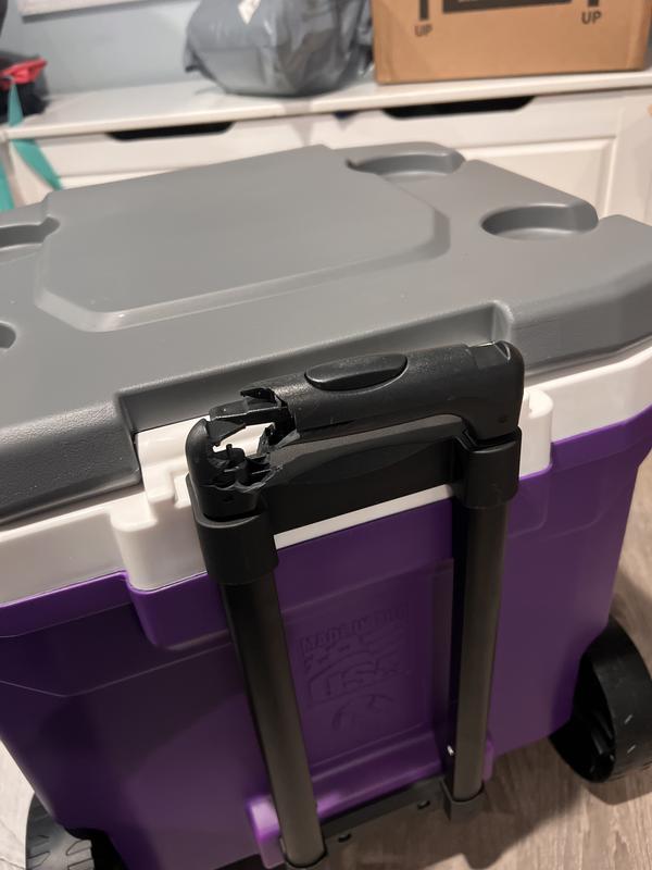 Igloo Purple.Wht.Meteorite.Blk 60-Quart Wheeled Insulated Personal ...