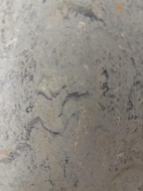 Forbo Flooring Systems Marmoleum Cinch Loc Seal Seashell 10-mm T x 12 ...