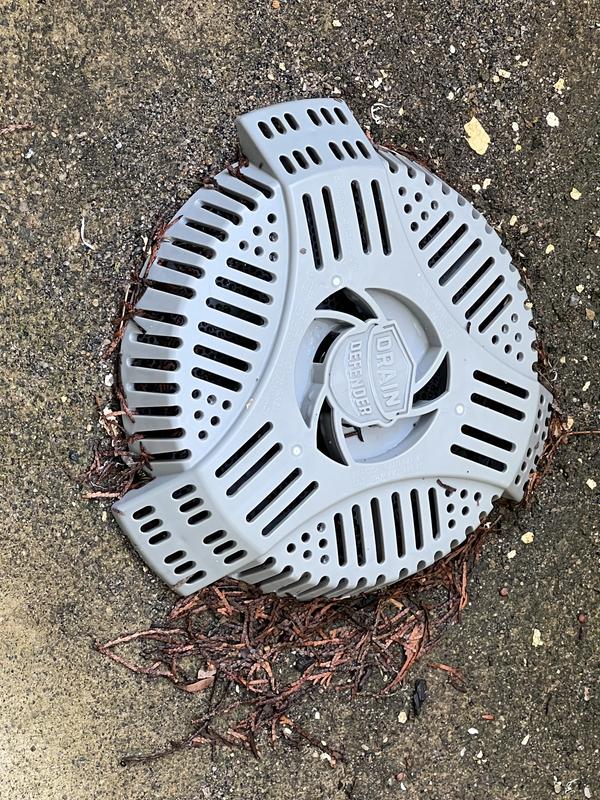 Drain Defender 12-in L x 12-in W x 12-in dia 2-in high drain defense ...