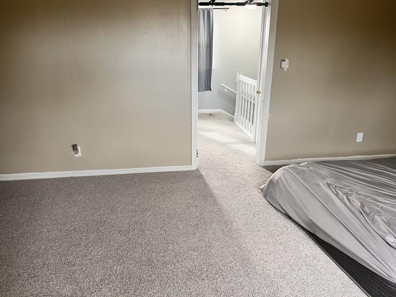 STAINMASTER Gray Textured Carpet Sample (Indoor) at Lowes.com