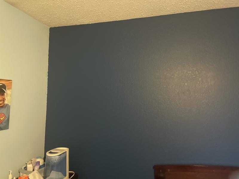 Valspar Deep Sea Diving 5001-8C Paint sample ( Half-pint ) in the Paint ...