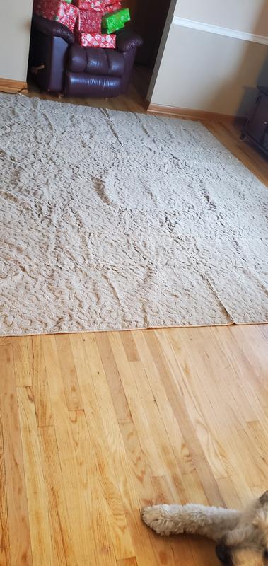 Garland Rug Ivy 4 X 6 (ft) Cinder Gray Indoor Floral/Botanical ...