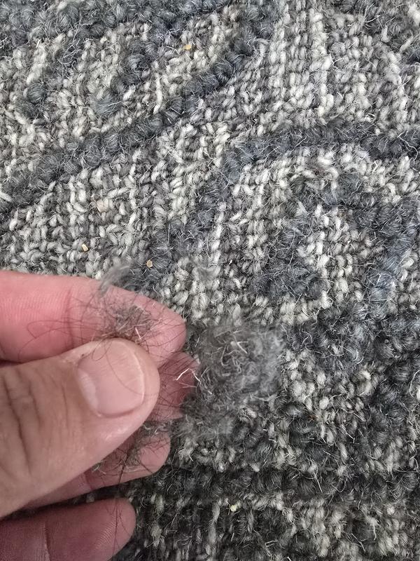 allen + roth Gray Relaxing Midnight 5 X 8 (ft) Wool Gray Indoor Trellis ...