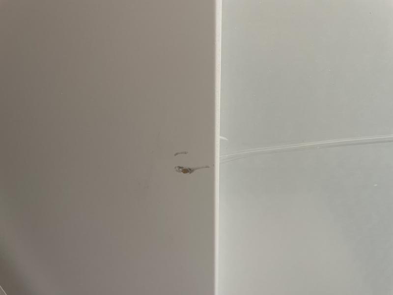 JELD-WEN 36-in x 80-in Primed Solid Core 1-panel Frosted glass Right ...