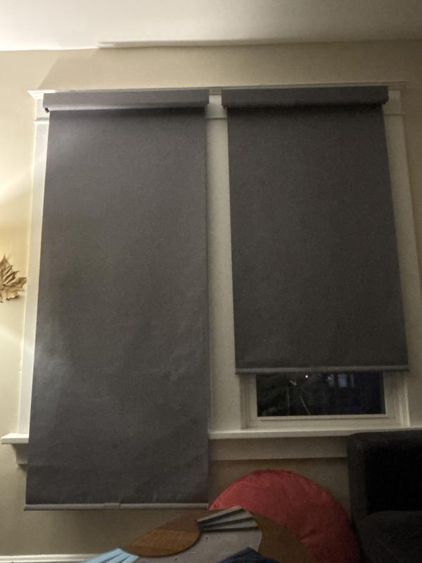 allen + roth 31-in x 72-in Gray Room Darkening Cordless Roller Shade ...