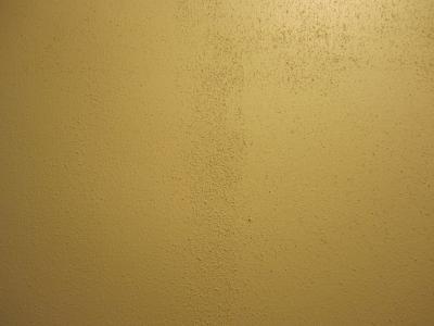 Homax Interior Paint texture additive (Actual Net Contents: 10-fl oz ...