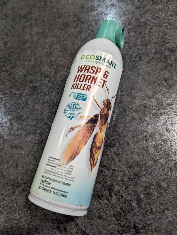 EcoSMART 14-fl oz Natural Insect Killer Aerosol (2-Pack) ECSM-33529 ...