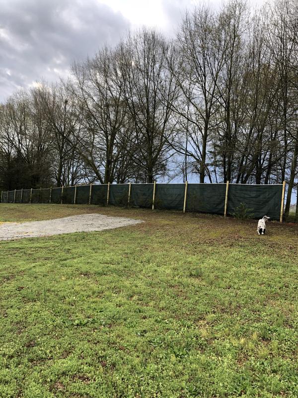 BOEN 6-ft H x 150-ft W Green Polyethelene Privacy Chain Link Fence ...