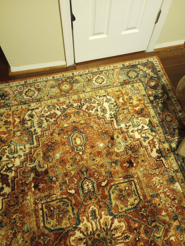 allen + roth with STAINMASTER Jezebel Performance 5 x 8 (ft) Loomed ...