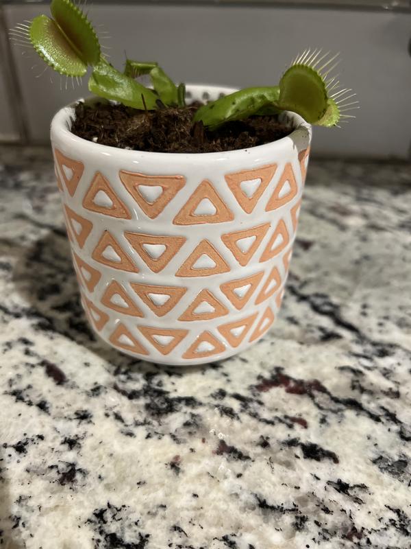 allen + roth Round 3.03-in W Small Orange Ceramic Indoor Planter With ...