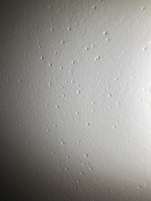 Valspar Interior High Build Latex Wall and Ceiling Primer (5-Gallon ...
