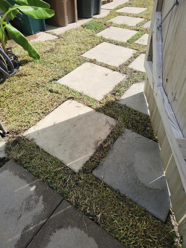 Harmony Outdoor Brands 500-sq ft Natural Centipede Sod Pallet ...