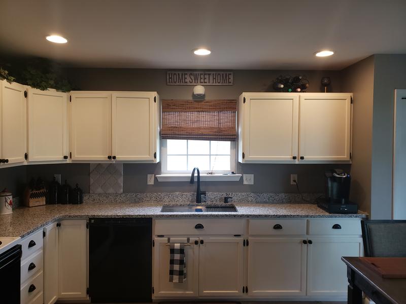 allen + roth Roaming Mist Granite Gray Kitchen Countertop SAMPLE (4-in ...