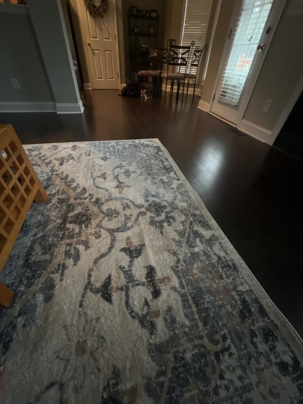 Livabliss St tropez 8 X 10 Denim Indoor Medallion Oriental Area Rug ...