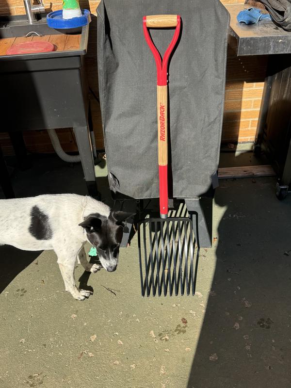 Razor-Back 30-in L Wood-Handle Steel Mulch Fork 76107 at Lowes.com