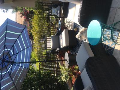 allen + roth 9-ft Aluminum Blue Stripe Auto-tilt Market Patio Umbrella ...