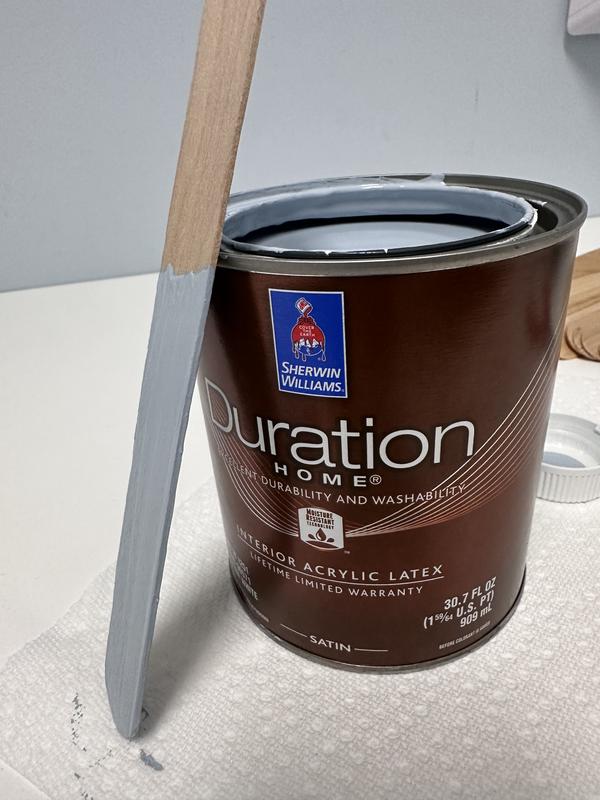 Project Source Quart Paint Stick 30 Pack LWSPROS-30 at Lowes.com