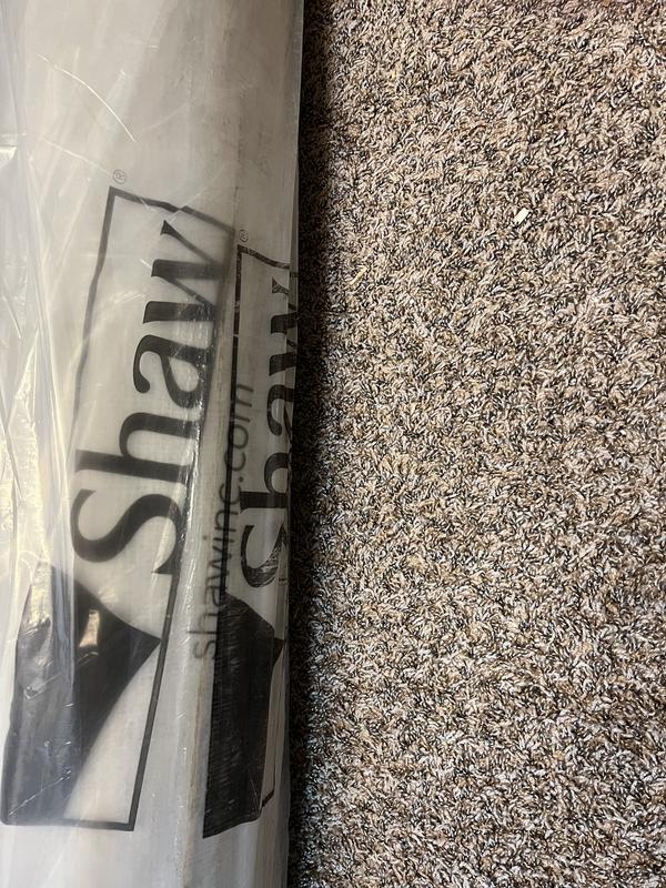 STAINMASTER Revitalized Fleece Off-white 34.1-oz sq yard Nylon Level ...