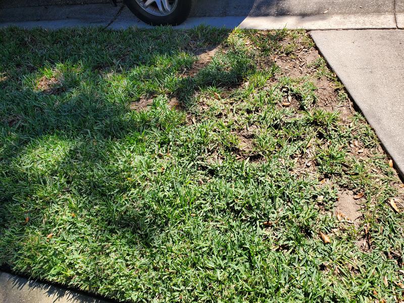 Sta-Green Performance Max 43.2-lb 14400-sq ft 30-0-3 All-purpose ...