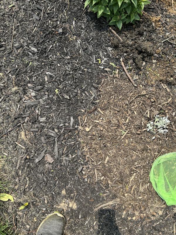 Sta-Green Premium 2 -cu ft Black Hardwood Mulch in the Bagged Mulch ...