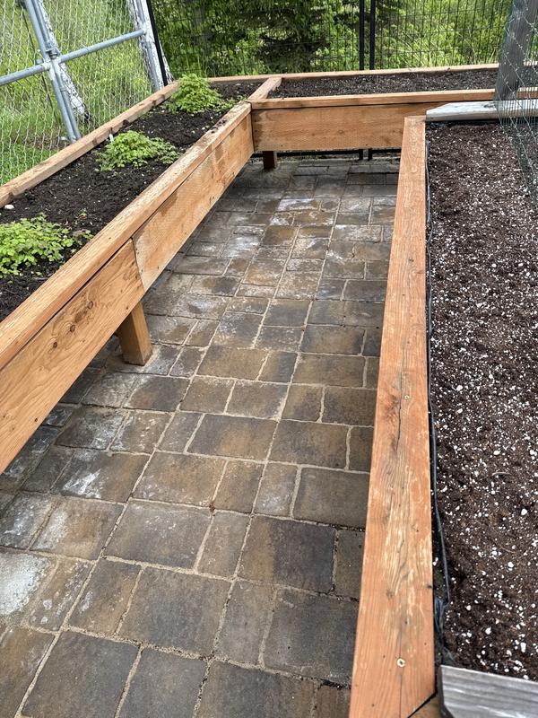 Accel Dust Preventing Paver Polymeric Sand 40-lb Saddle Tan Polymeric ...