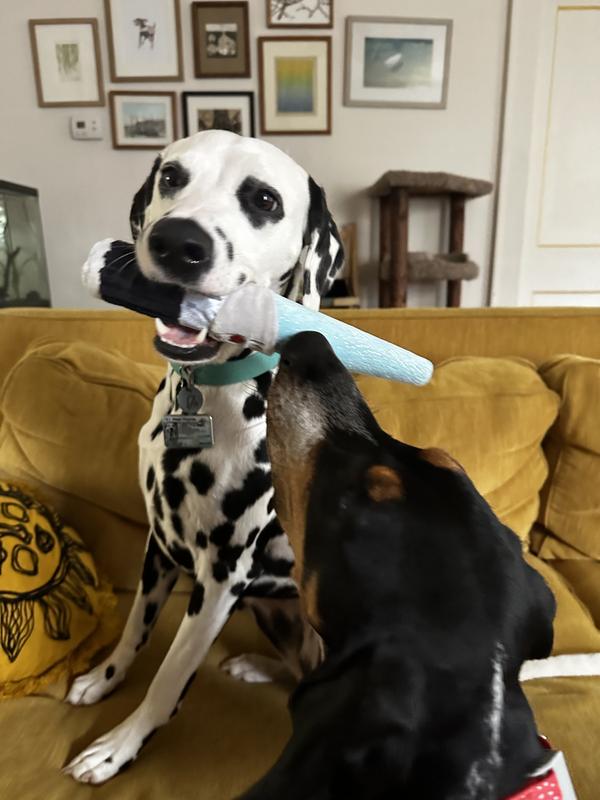 BARK Star Wars Plush Dog Toy 215820 at Lowes.com