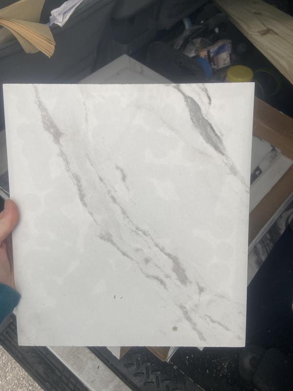 Origin 21 Black Panda Black 12-in x 24-in Matte Porcelain Marble Look ...