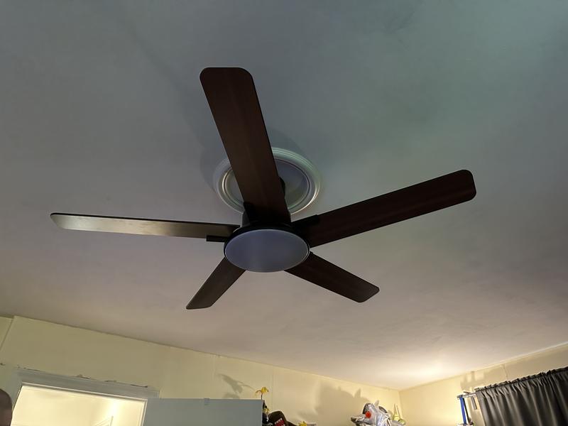 SILJOY 44-In Black Ceiling Fan with LED Light Remote Control App ...