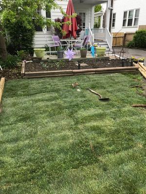 Harmony Outdoor Brands 500-sq ft Natural Bluegrass Sod Pallet ...