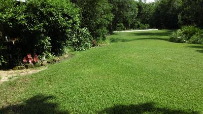 Turf Gro 50-lb 15000-sq ft 15-0-15 Insect Control Fertilizer in the ...