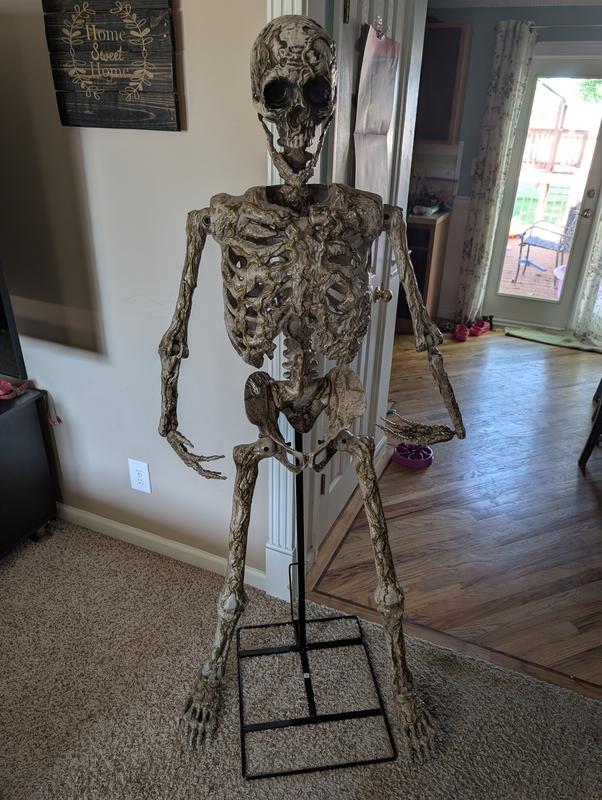 Haunted Living 5.6-ft Decayed Skeleton Statue in the Halloween Decor ...