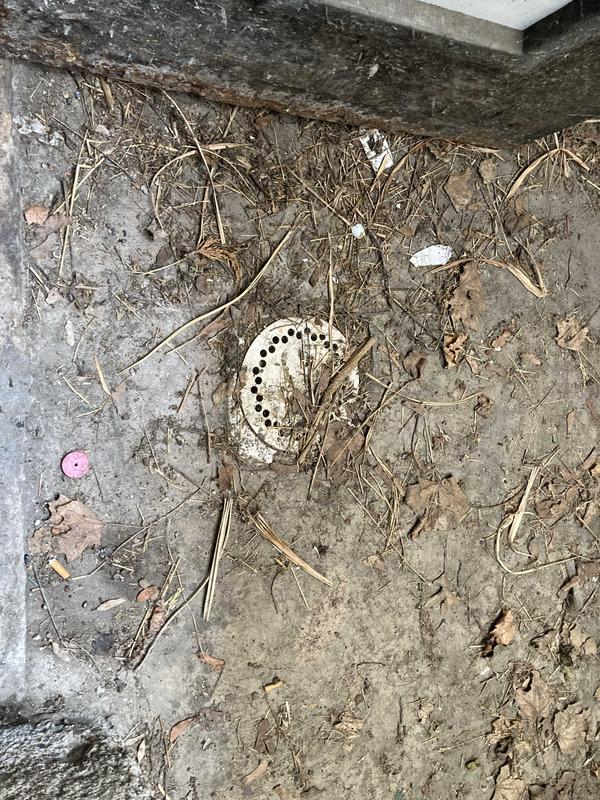 Drain Defender 12-in L x 12-in W x 12-in dia 2-in high drain defense ...