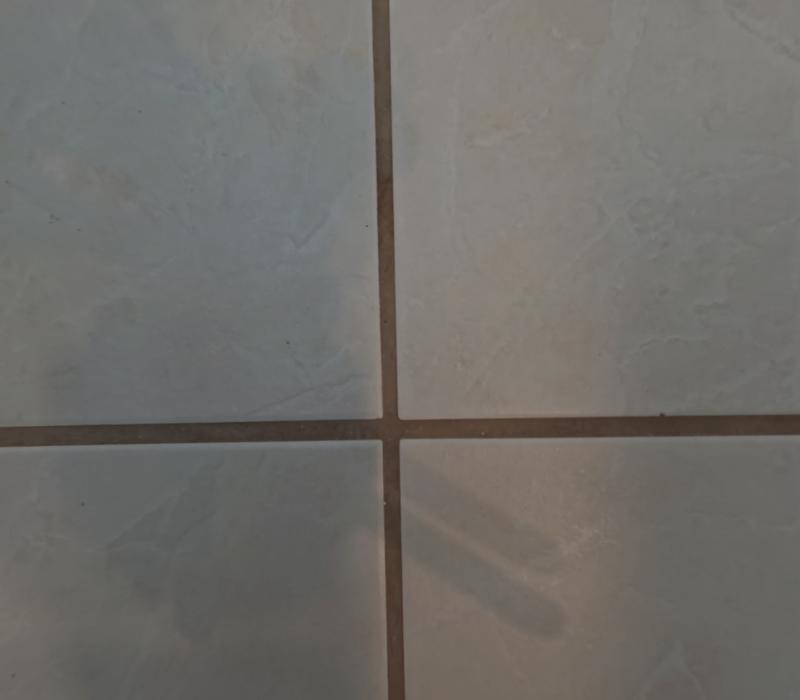 MOXIE Poly Fiber Stiff Tile and Grout Brush MXGRTDTBS at Lowes.com