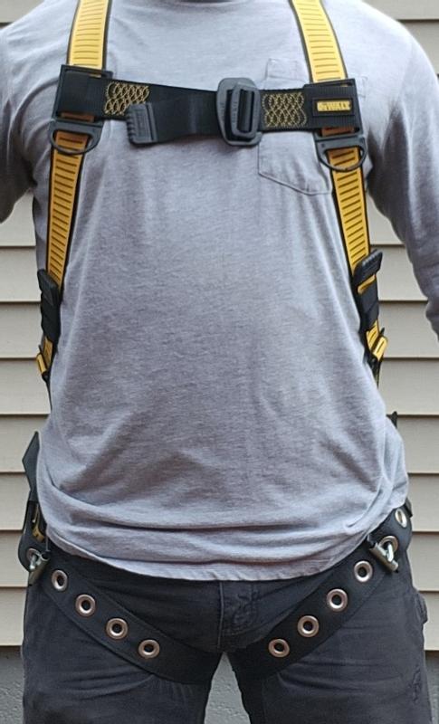 DEWALT Dewalt Fall Protection Compliance Kit Includes D1000 Harness ...