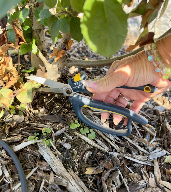 Woodland Tools Multipurpose garden hand tool in the Floral Scissors ...
