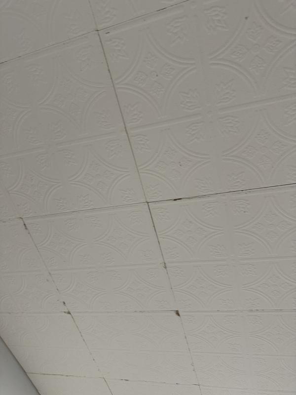 Armstrong Ceilings 1-ft x 1-ft TINTILE White Mineral fiber Surface ...