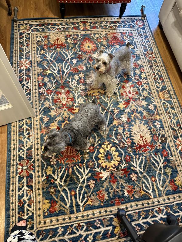 Livabliss Crafty 8 X 10 (ft) White Indoor Border Oriental Area Rug ...