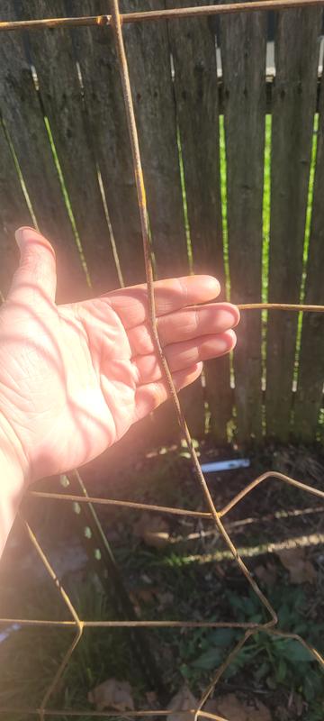 4-ft x 7-ft Steel Wire Mesh Sheet in the Remesh department at Lowes.com