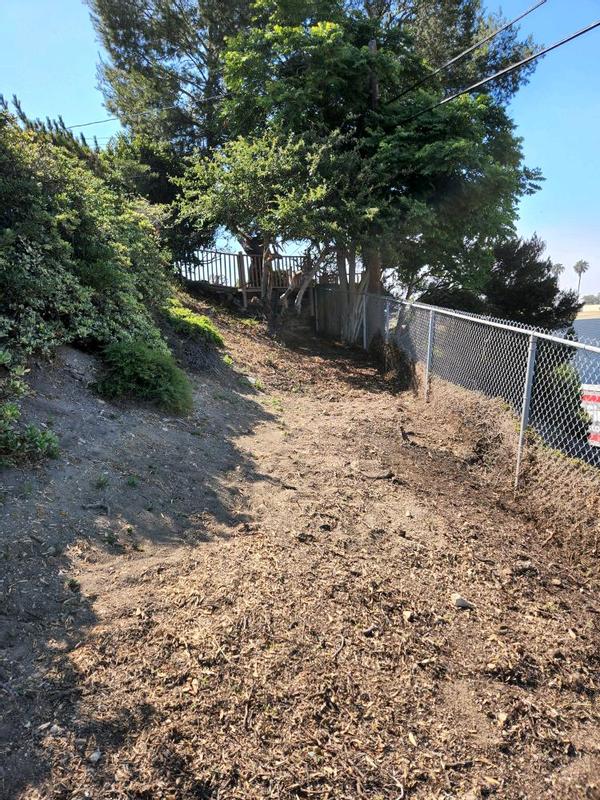 Sta-Green Soil Test Kit with SoilKit365 5260991 at Lowes.com