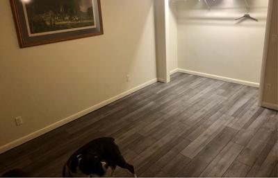 SMARTCORE Pro Covington Oak 20-mil Interlocking Luxury Vinyl Plank Flooring in the Vinyl Plank ...