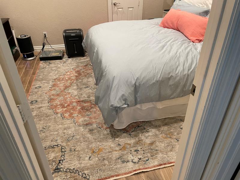 allen + roth Farren 8 X 10 (ft) Beige/Red Indoor Medallion Area Rug 1 ...