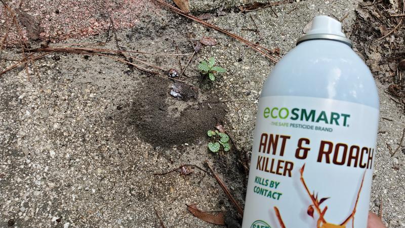 EcoSMART 14-fl oz Natural Roach Killer Aerosol (2-Pack) ECSM-33520-01EC ...