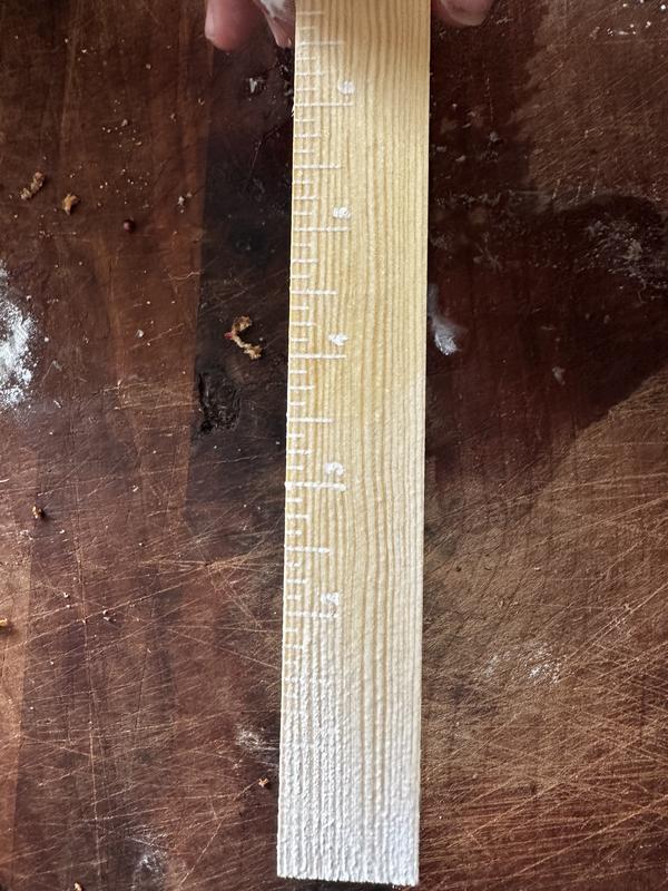 Project Source 1 Gal Paint Stick 10 Pack LWSPROS-10 at Lowes.com