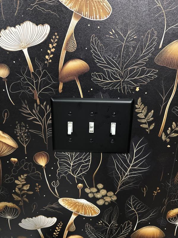 Shop allen + roth (4-Pack) Wall Plate at Lowes.com