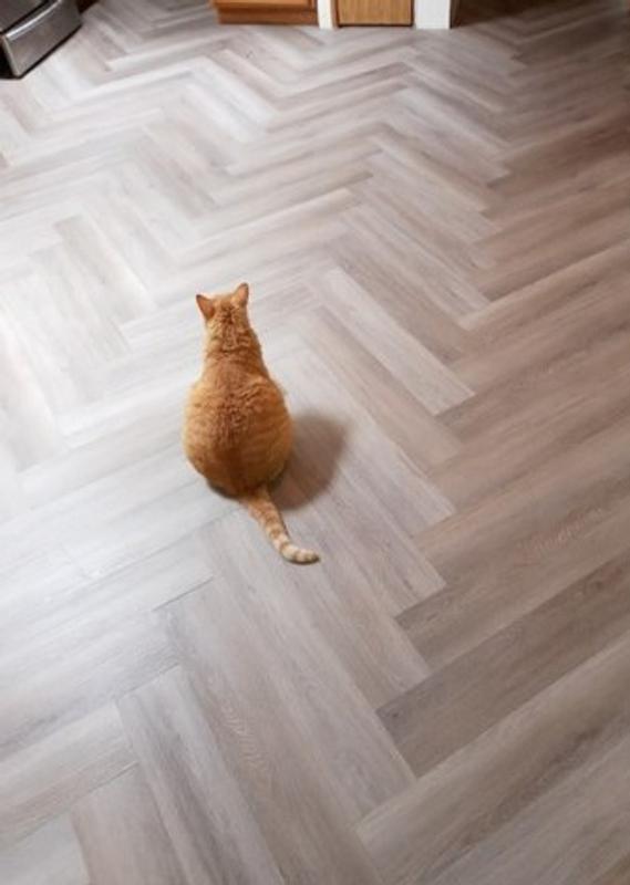 ProCore Plus Herringbone Ashewood Brown 20-mil x 6-in W x 30-in L Waterproof Interlocking Luxury ...