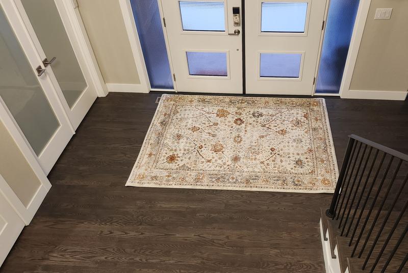 allen + roth with STAINMASTER Camille Border 8 X 10 (ft) Beige Indoor ...