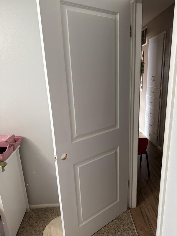 RELIABILT 30-in x 80-in Primed 2-panel Smooth Hollow core Primed ...