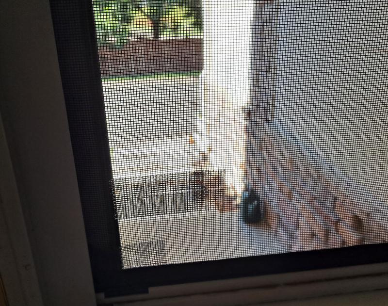 ScreenMend Screen Mend - Fiberglass Screen Repair - Fixes Holes and ...