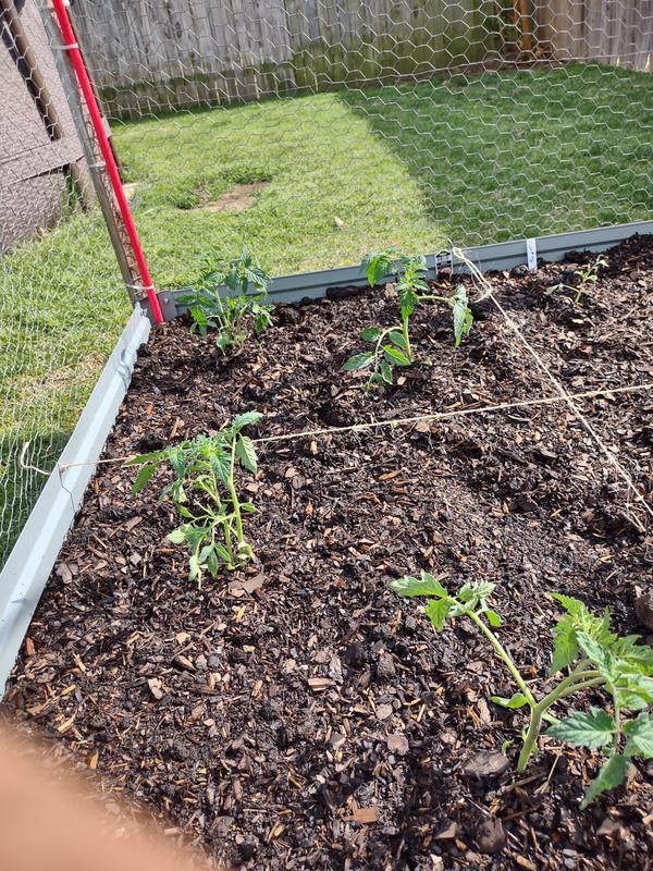 Hapi-Gro 2-cu ft Fruit, Flower and Vegetable Garden Soil LX02H at Lowes.com