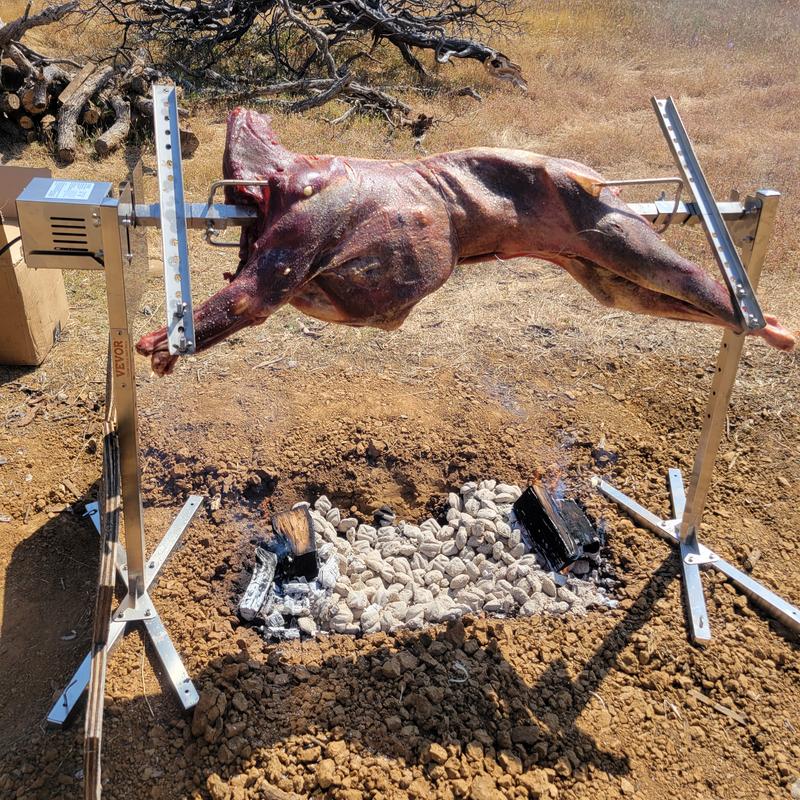 SVOPES Electric BBQ Rotisserie Grill Kit 52 -Watt Stainless Steel ...